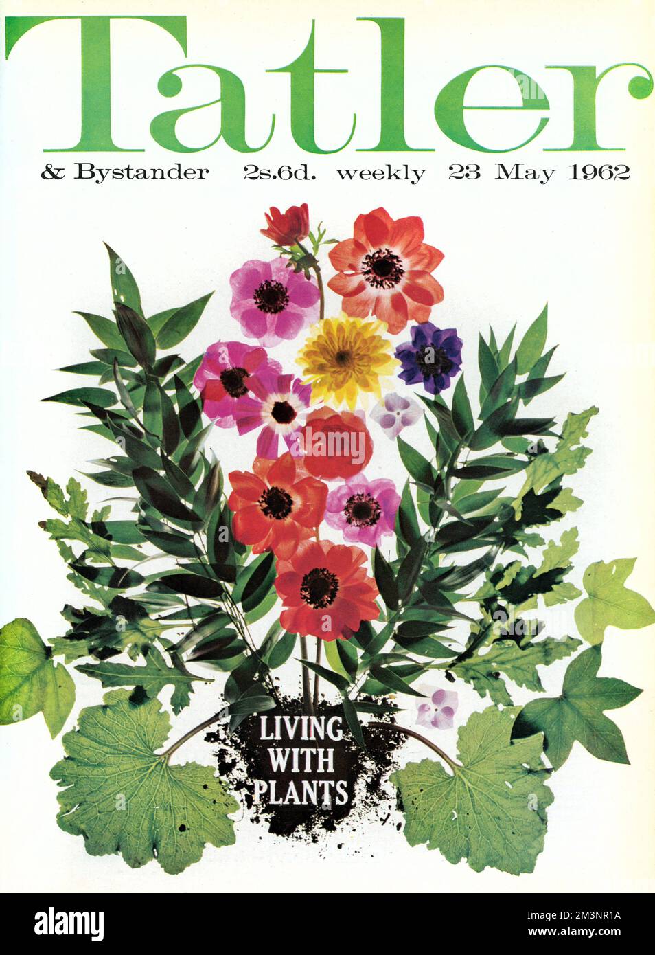 Tatler cover hi-res stock photography and images - Alamy