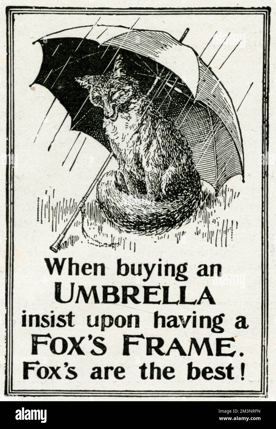 Advert for Fox's umbrellas 1901 Stock Photo - Alamy