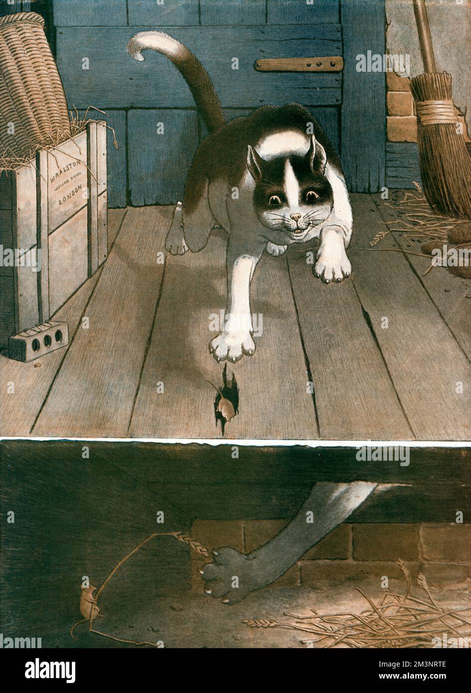 Ralston hi-res stock photography and images - Alamy