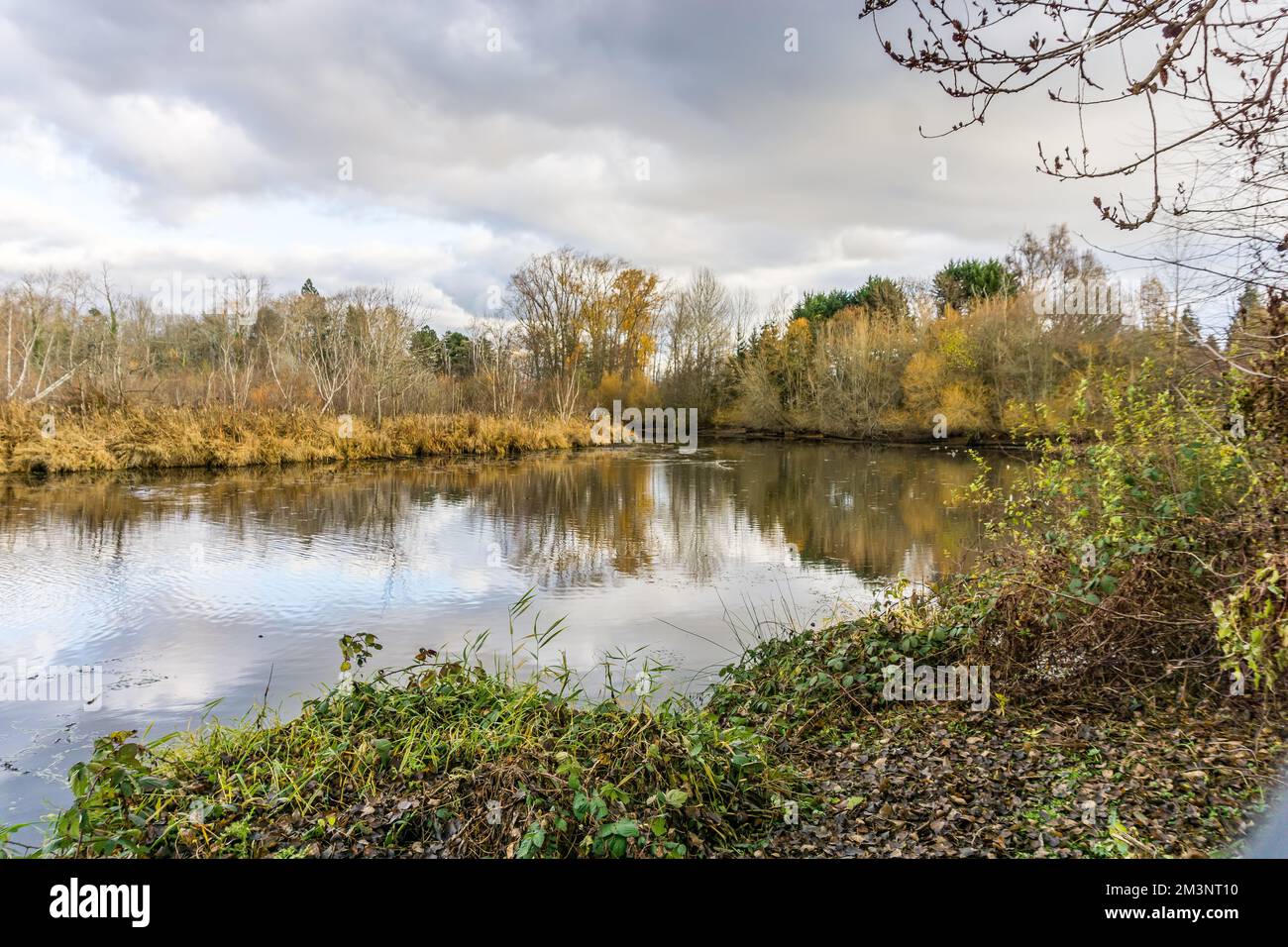 Water inlet at the Washington Park Arboretum in Seattle, Washington ...
