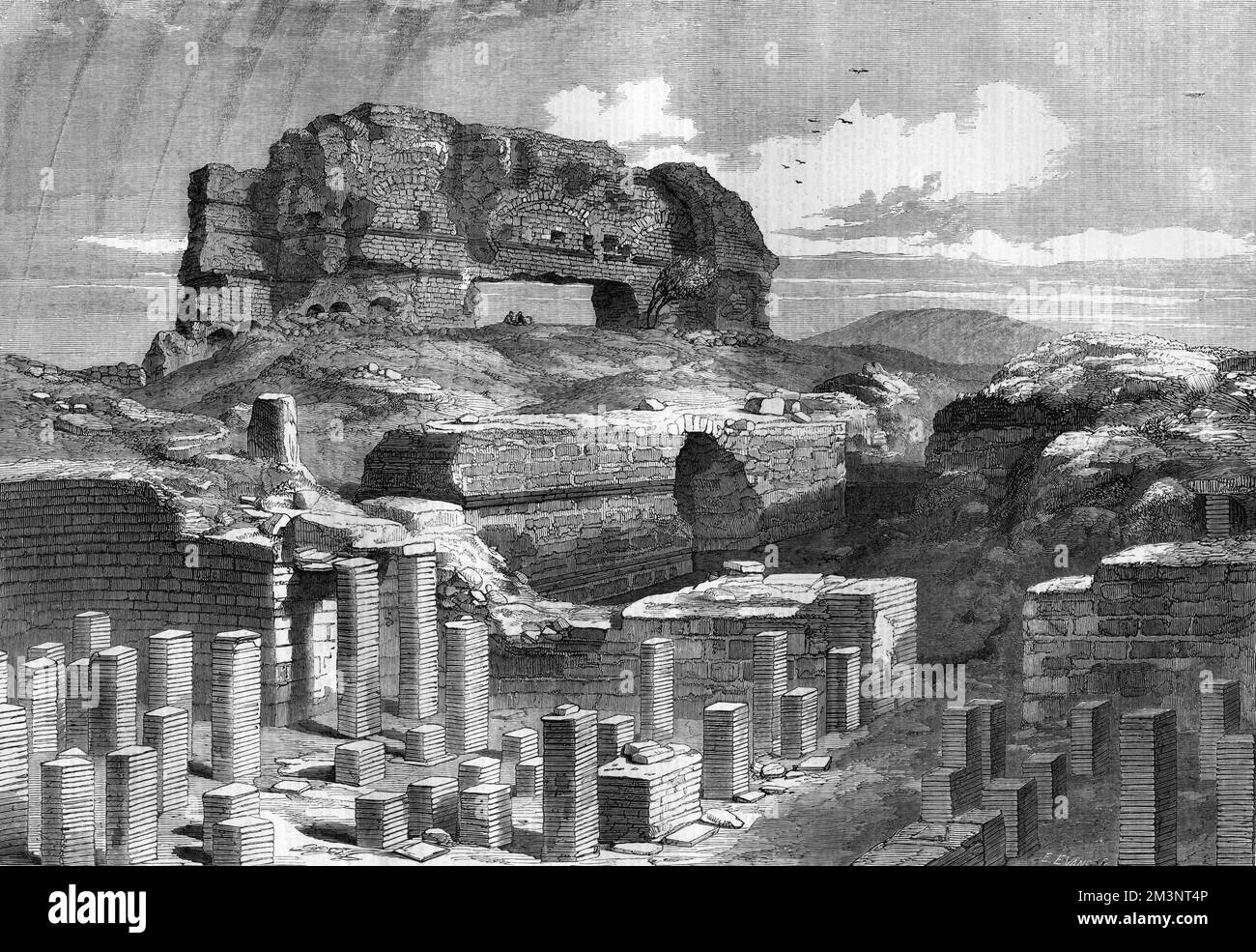 Viriconium cornoviorum hi-res stock photography and images - Alamy