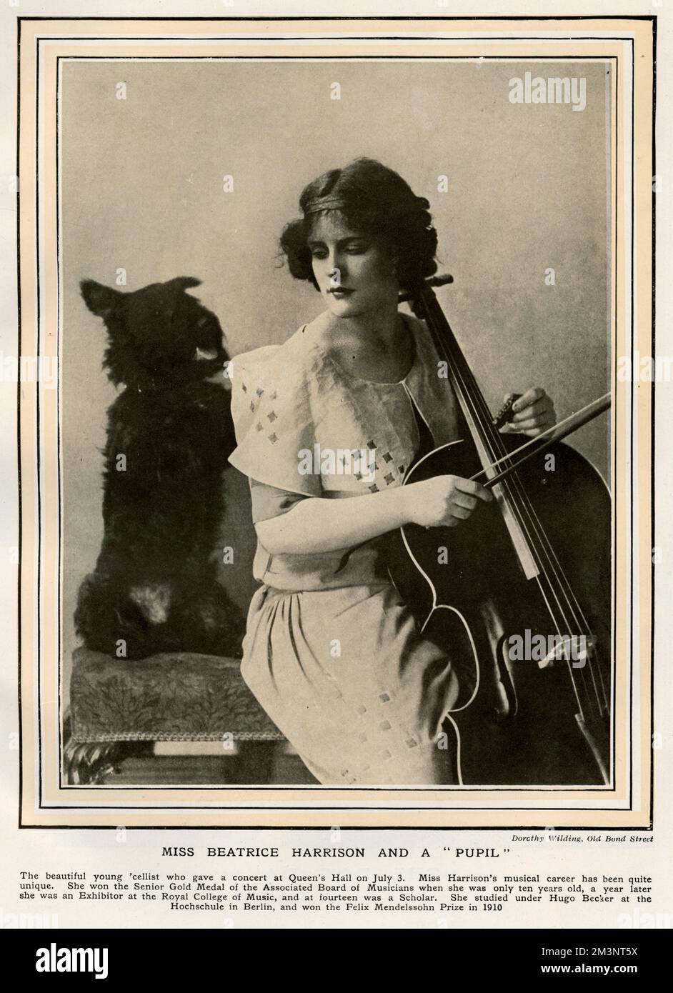 Beatrice harrison cellist hi-res stock photography and images - Alamy