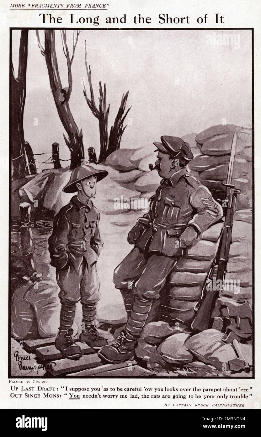 Ww1 Trenches Rats Trench War Rat Hi Res Stock Photography And Images