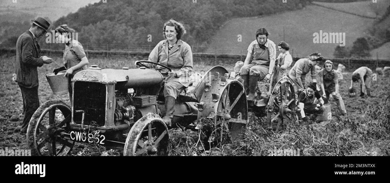 Women’s land army hi-res stock photography and images - Alamy