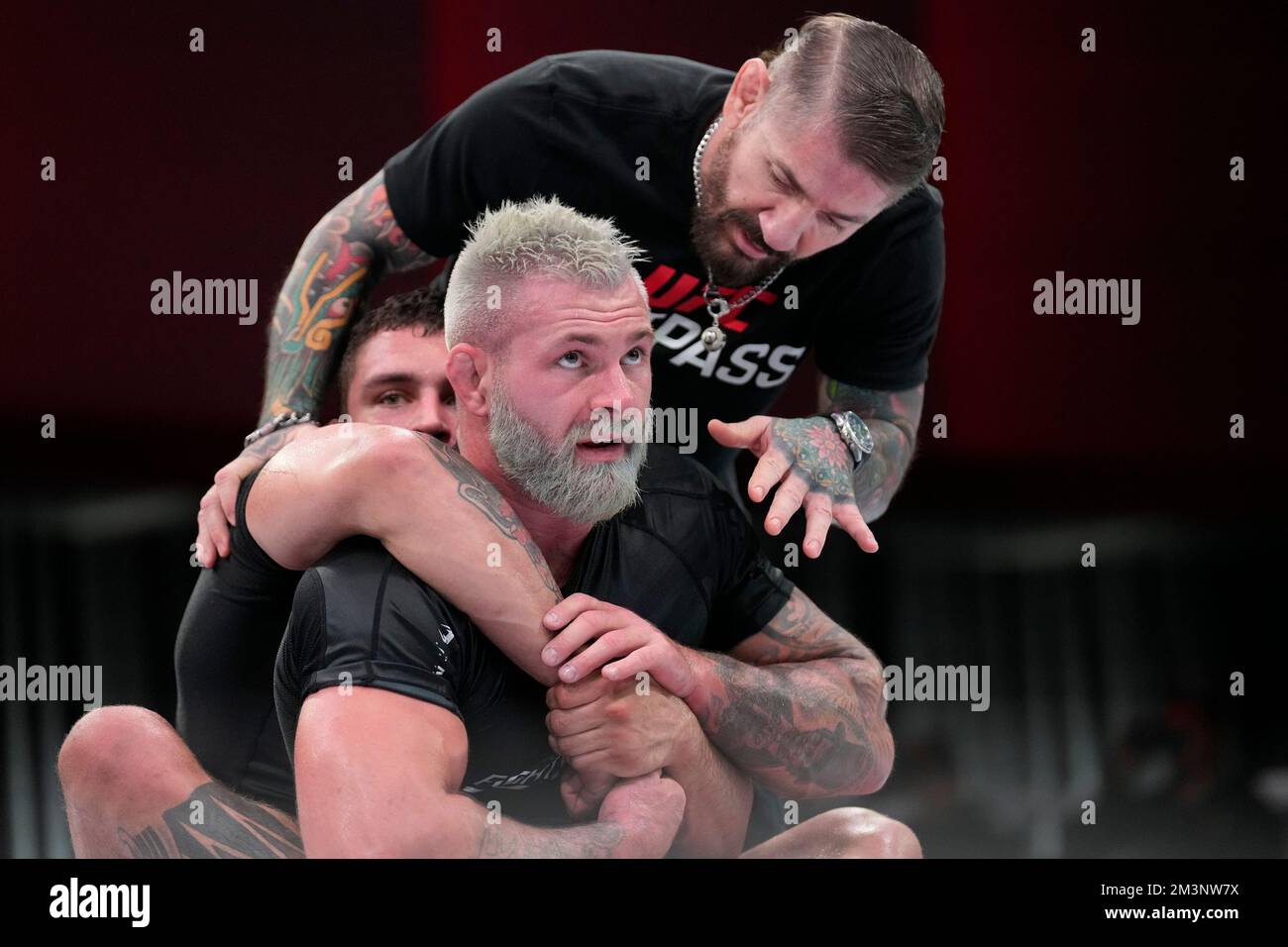 Gordan ryan 224lbs and nicky rodriguez 231lbs hi-res stock photography ...