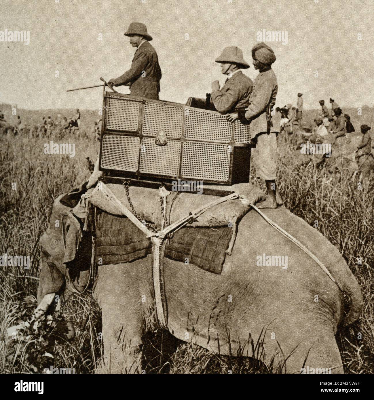 King George V, tiger shooting during his visit to India for the Durbar ...