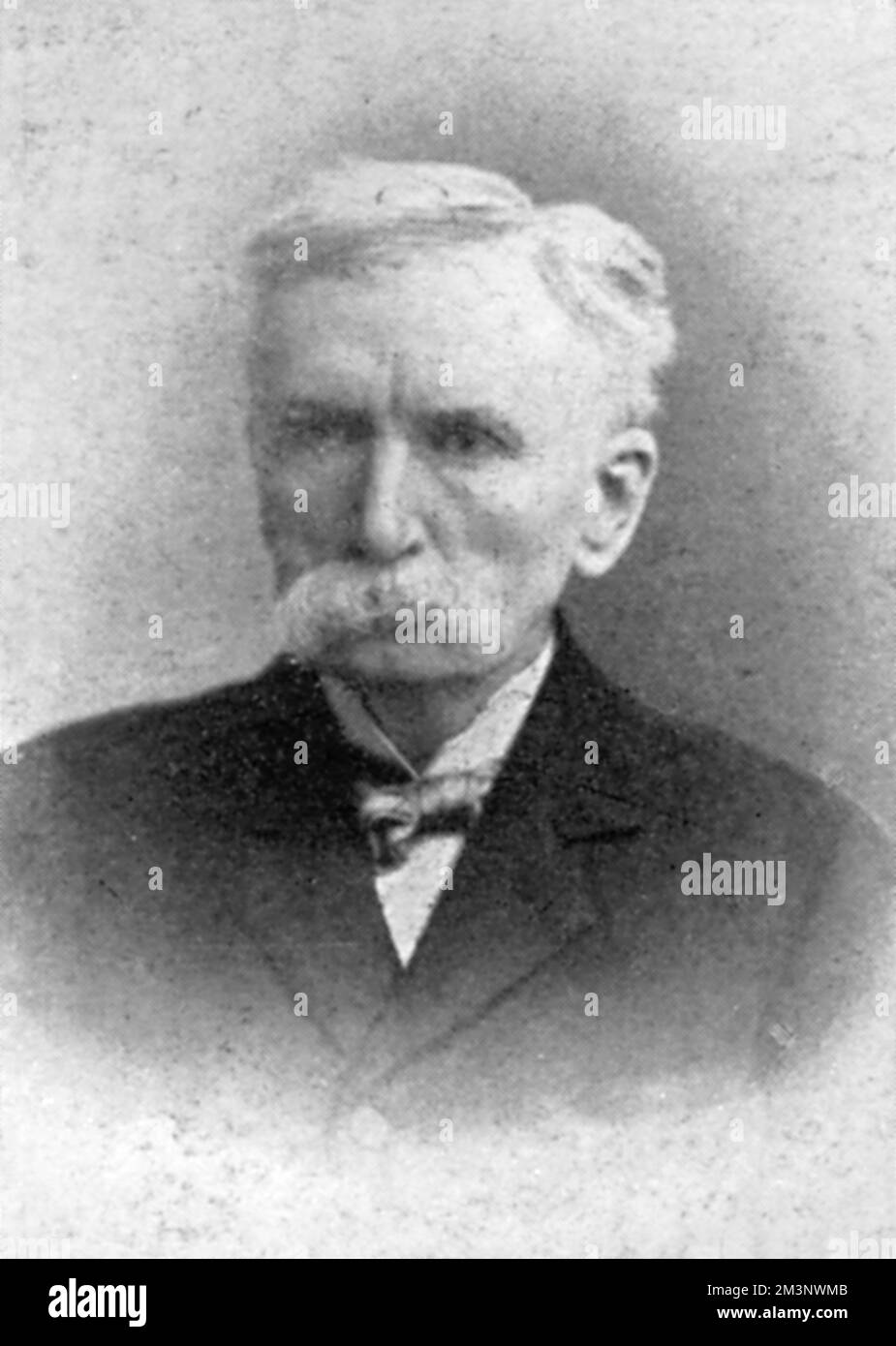 Henry Mitchell (1837 - 1914 Stock Photo - Alamy