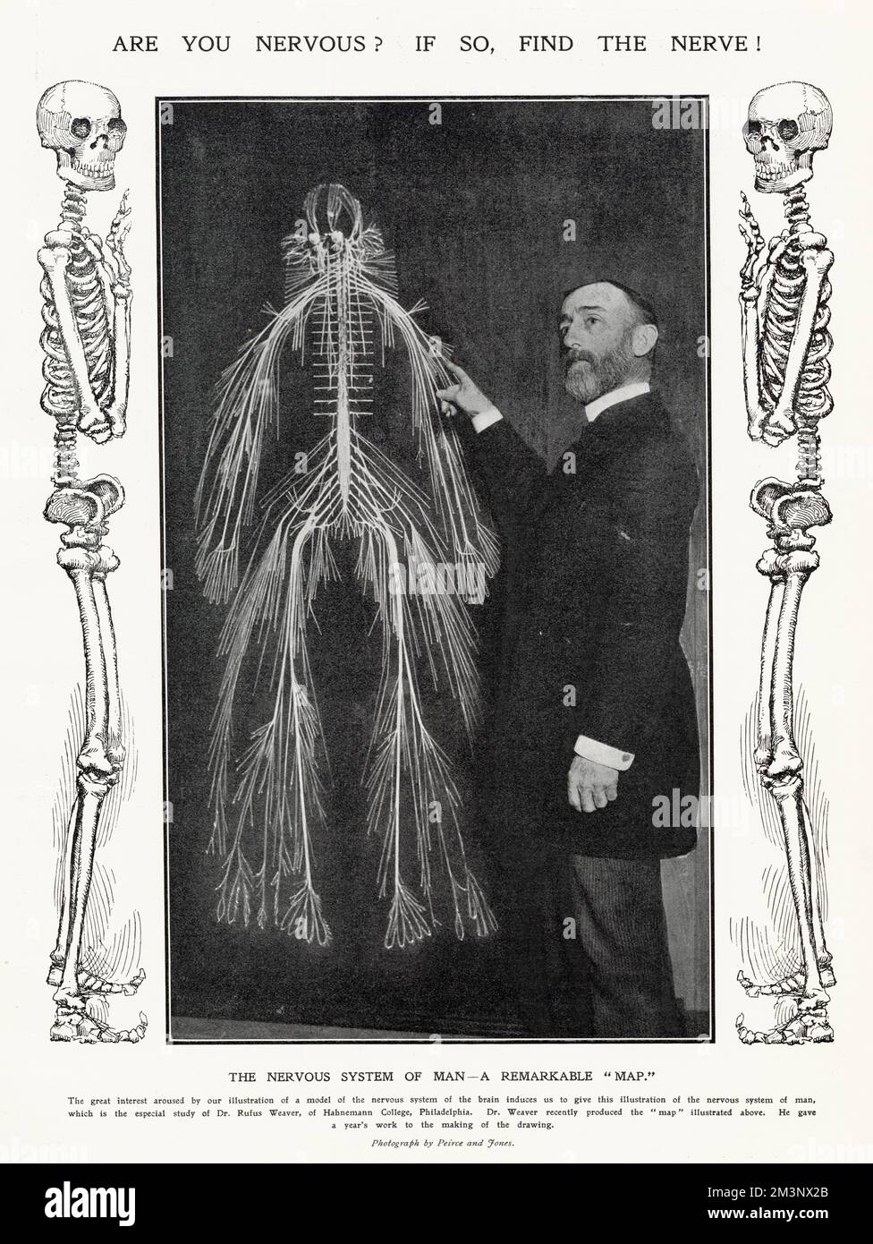 Dr. Rufus Weaver - Nervous System 1906 Stock Photo - Alamy