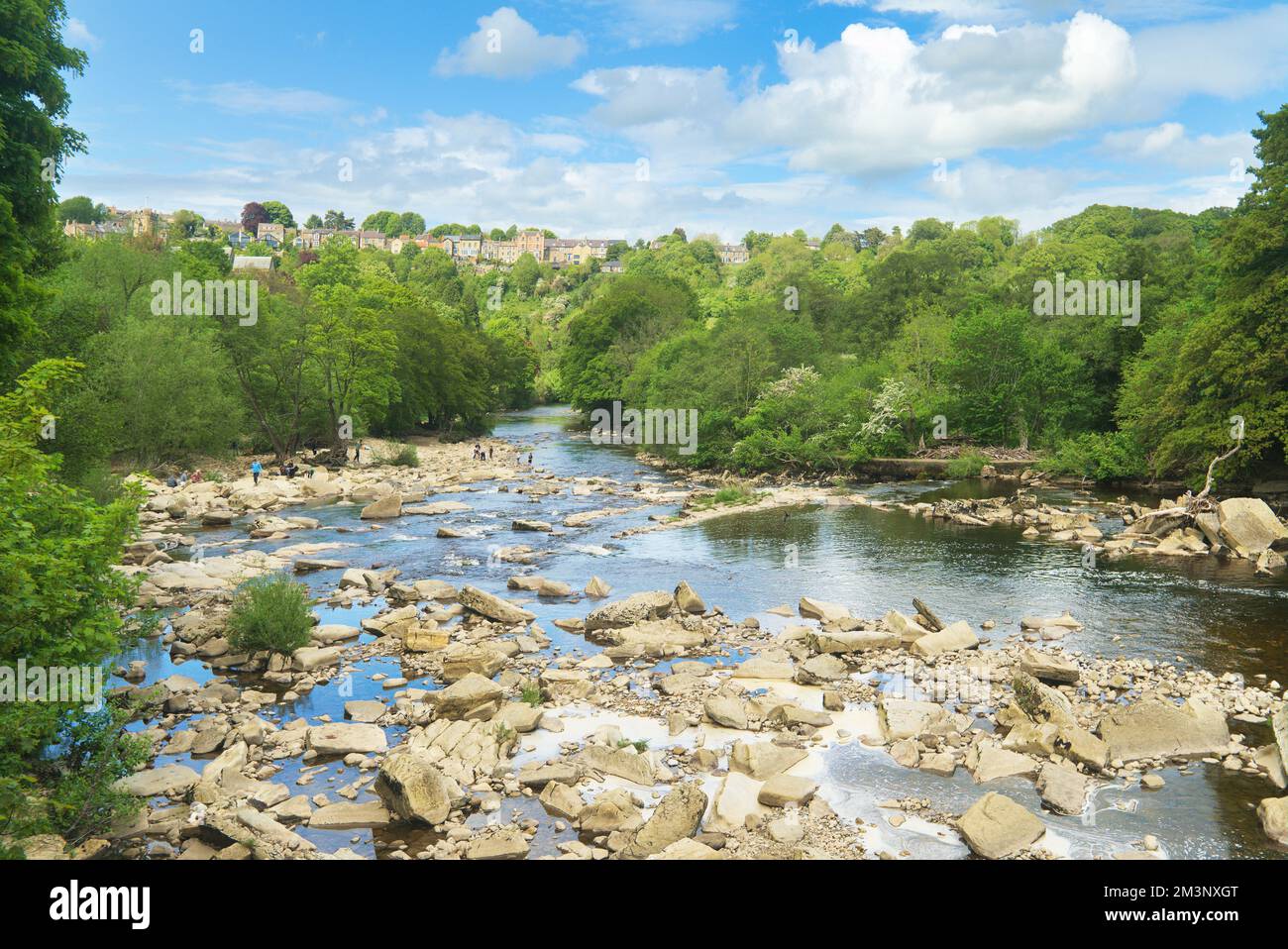 River Swale flowing through Richmond, looking down from riverside path ...