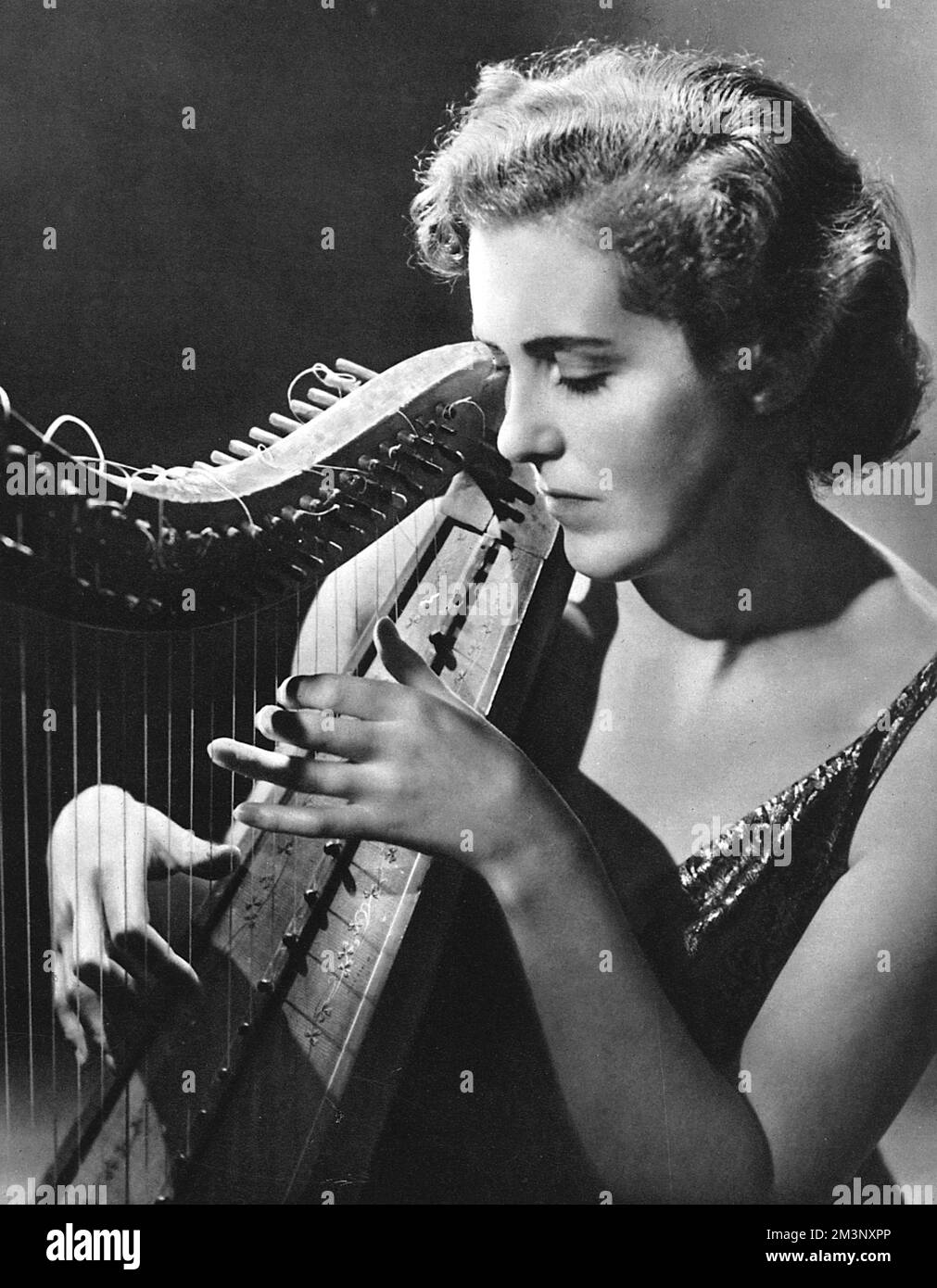 Prunella hi-res stock photography and images - Alamy