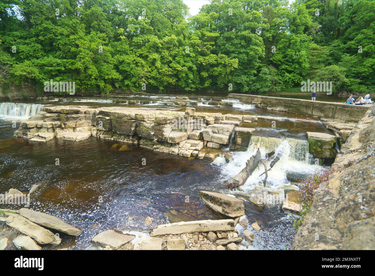 River Swale, from Fosse Car Park, riverside path, Richmond Falls ...