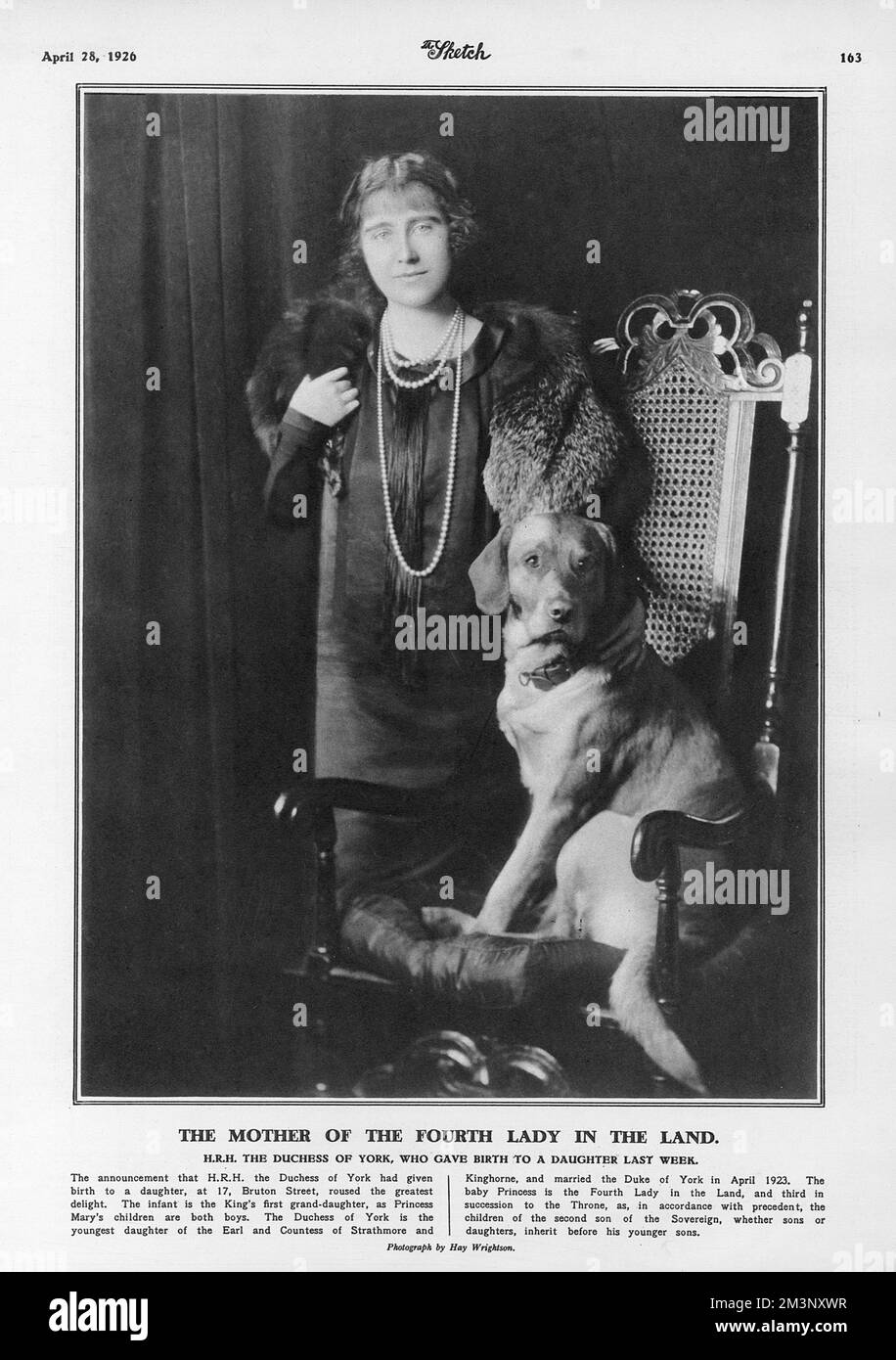 The Duchess of York, pictured with a labrador sitting on a chair. The ...