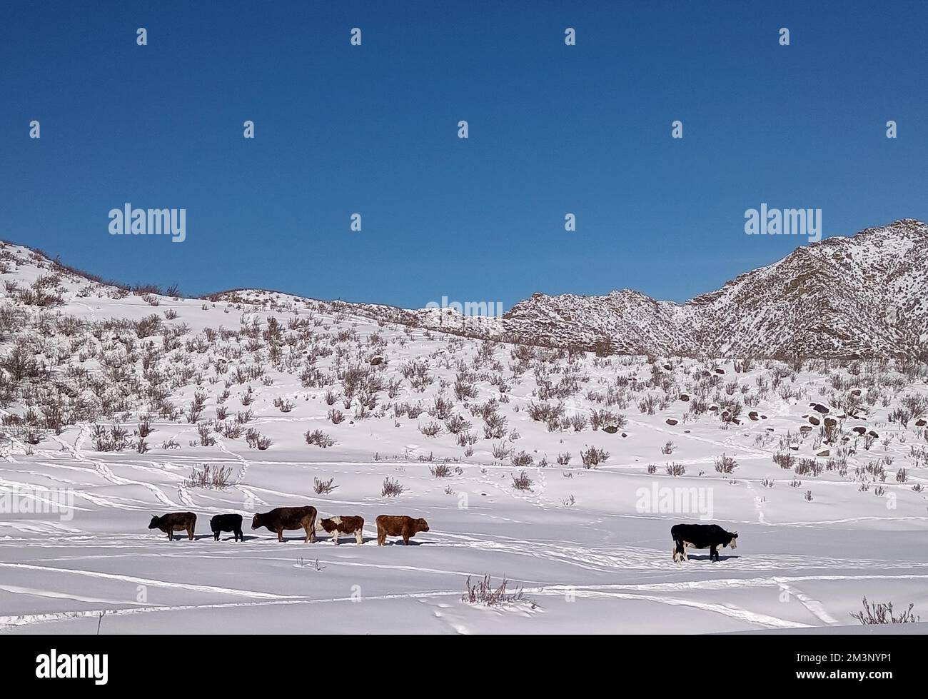 Snow scenery of Urumqi Shuimotianshan National Trail System in Urumqi ...