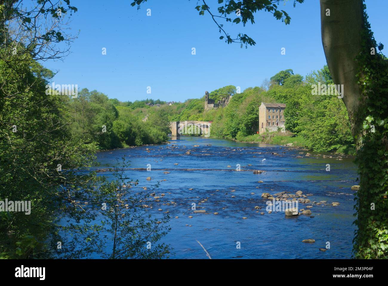 Looking north up the River Tees to the ancient County Bridge (A67) and ...