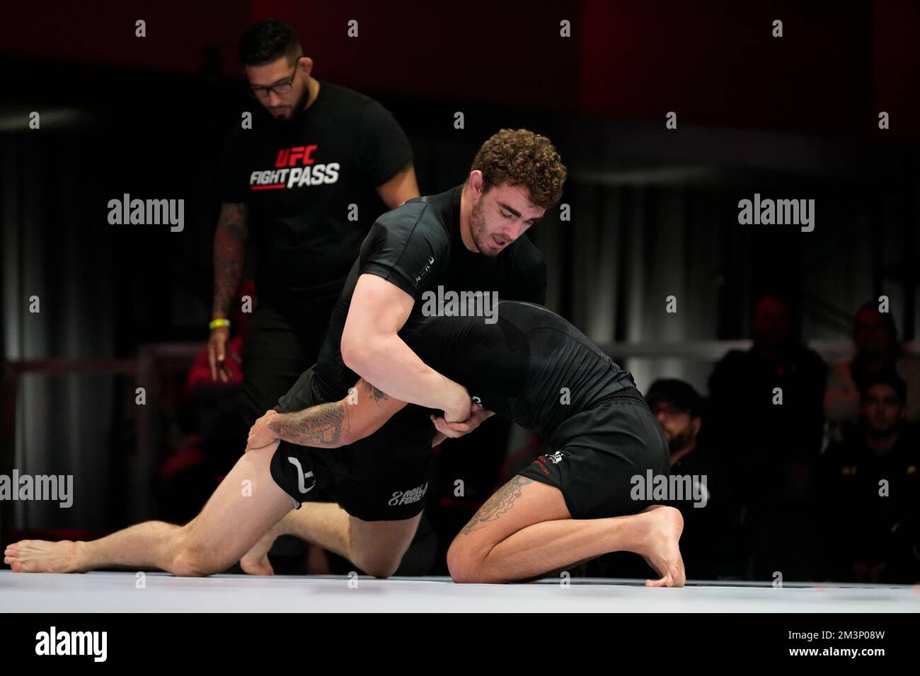 December 15, 2022, Las Vegas, NV, LAS VEGAS, NEVADA, United States: UFC ...