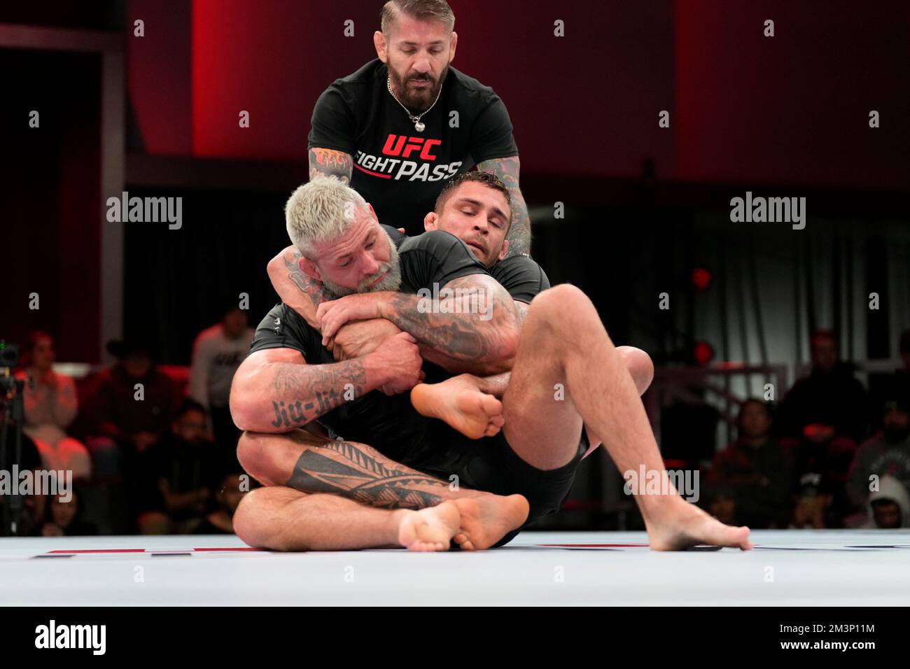 224lbs hi-res stock photography and images - Alamy