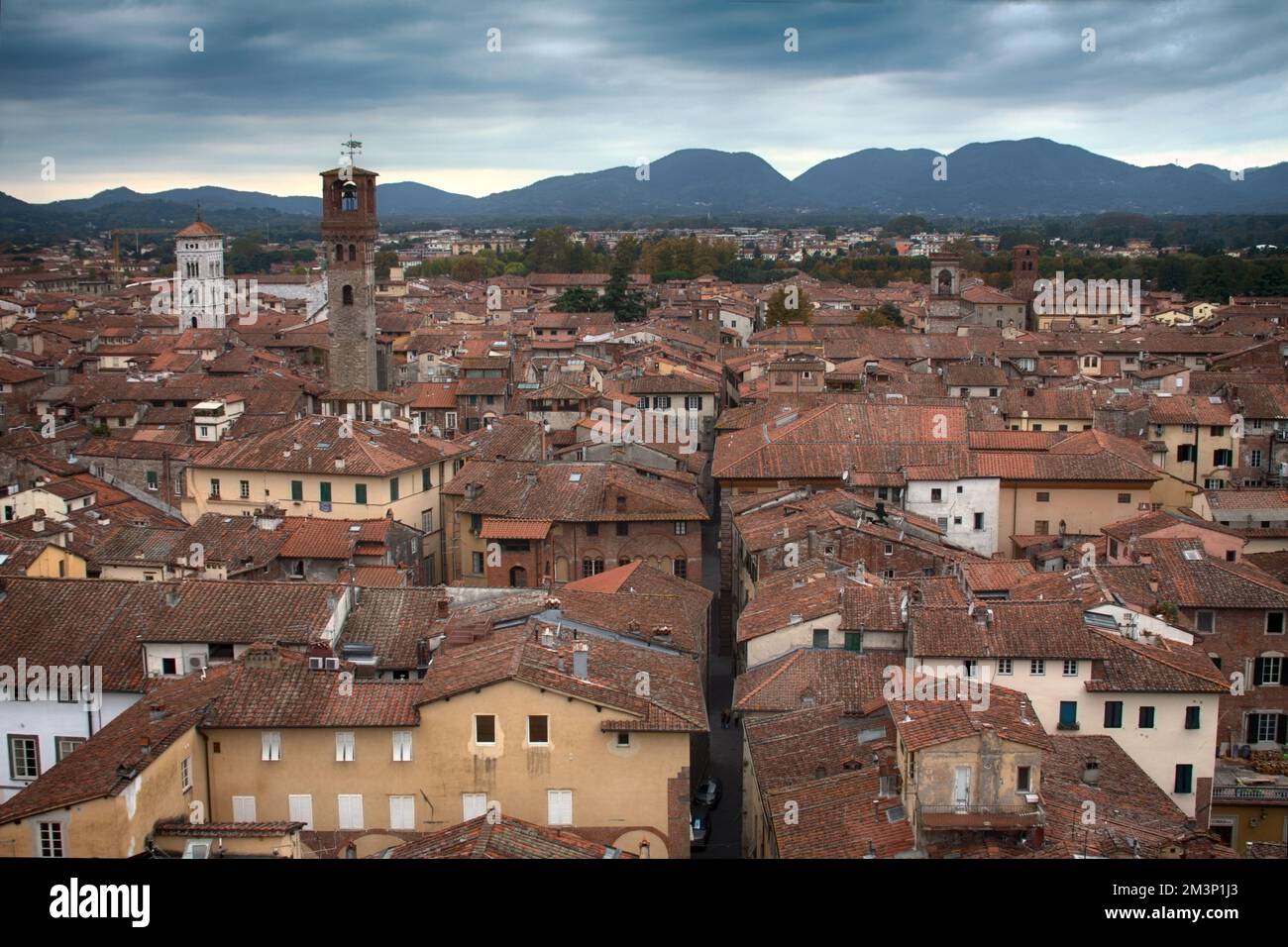 City view from Guinigi tower, Lucca in Tuscany, Italy Stock Photo - Alamy