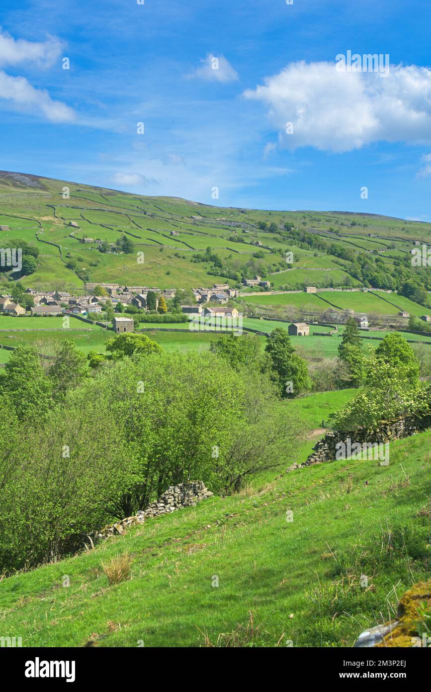 Looking south over Swaledale, at Gunnerside. Barns and dry stone walls ...