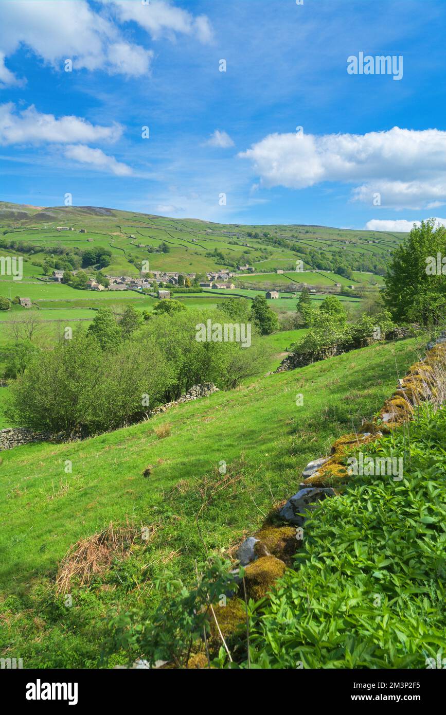 Looking south over Swaledale, at Gunnerside. Barns and dry stone walls ...