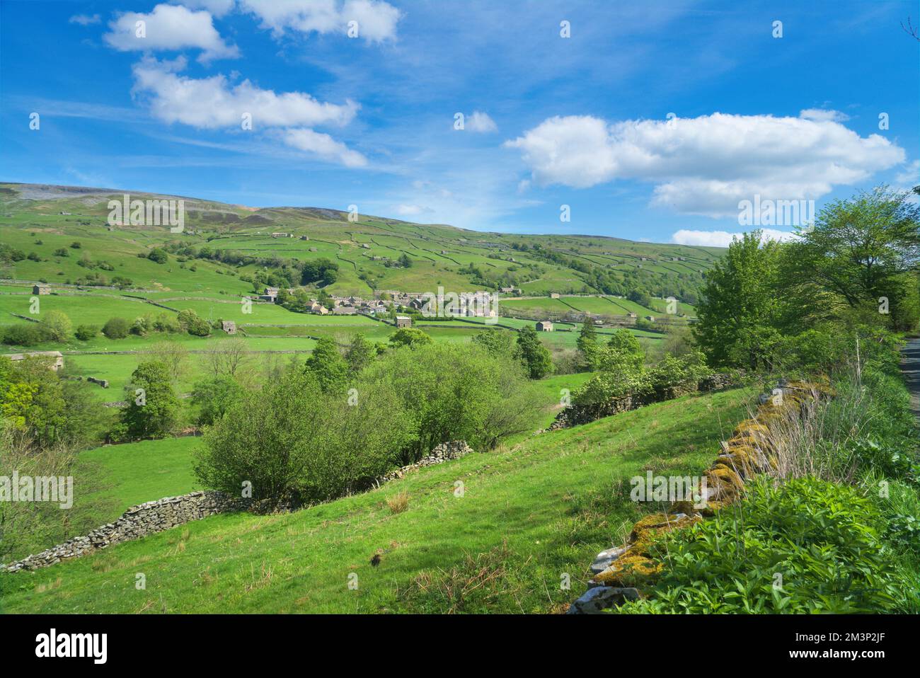 Looking south over Swaledale, at Gunnerside. Barns and dry stone walls ...