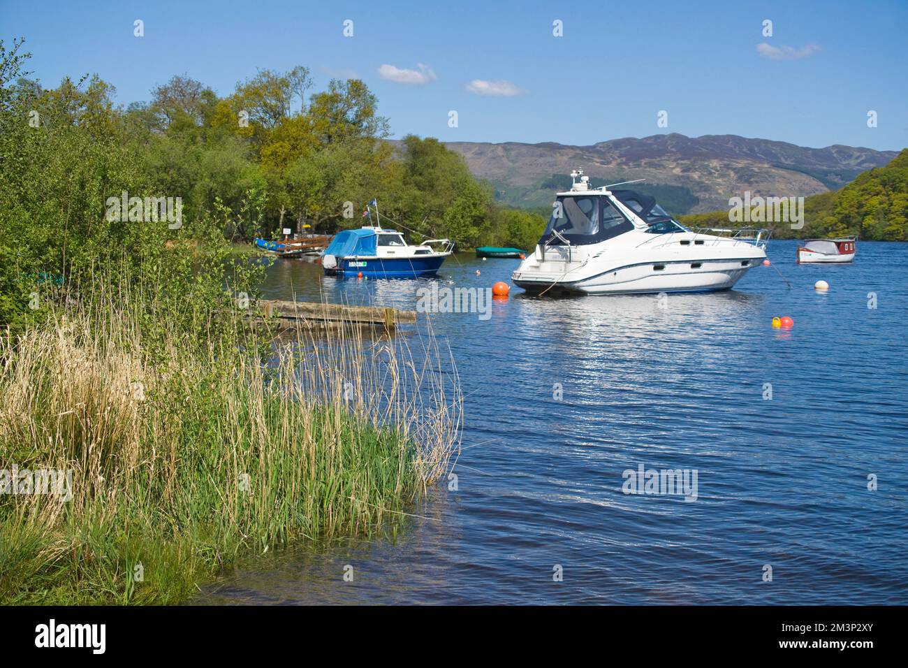 Spring colours on Loch Lomond, Aldochlay, looking to Inch Tavannach ...