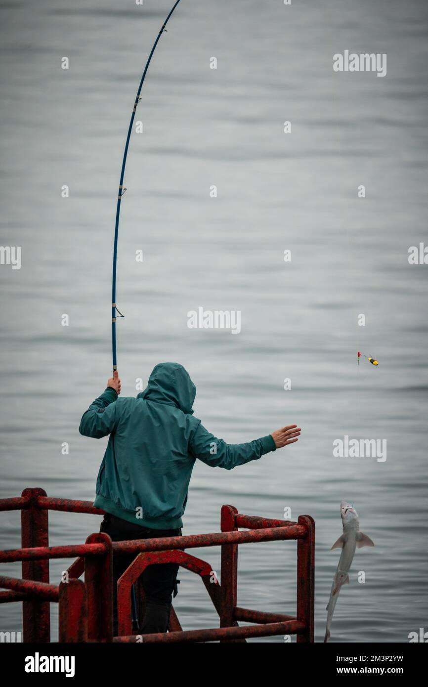 Reeling in a shark hi-res stock photography and images - Alamy