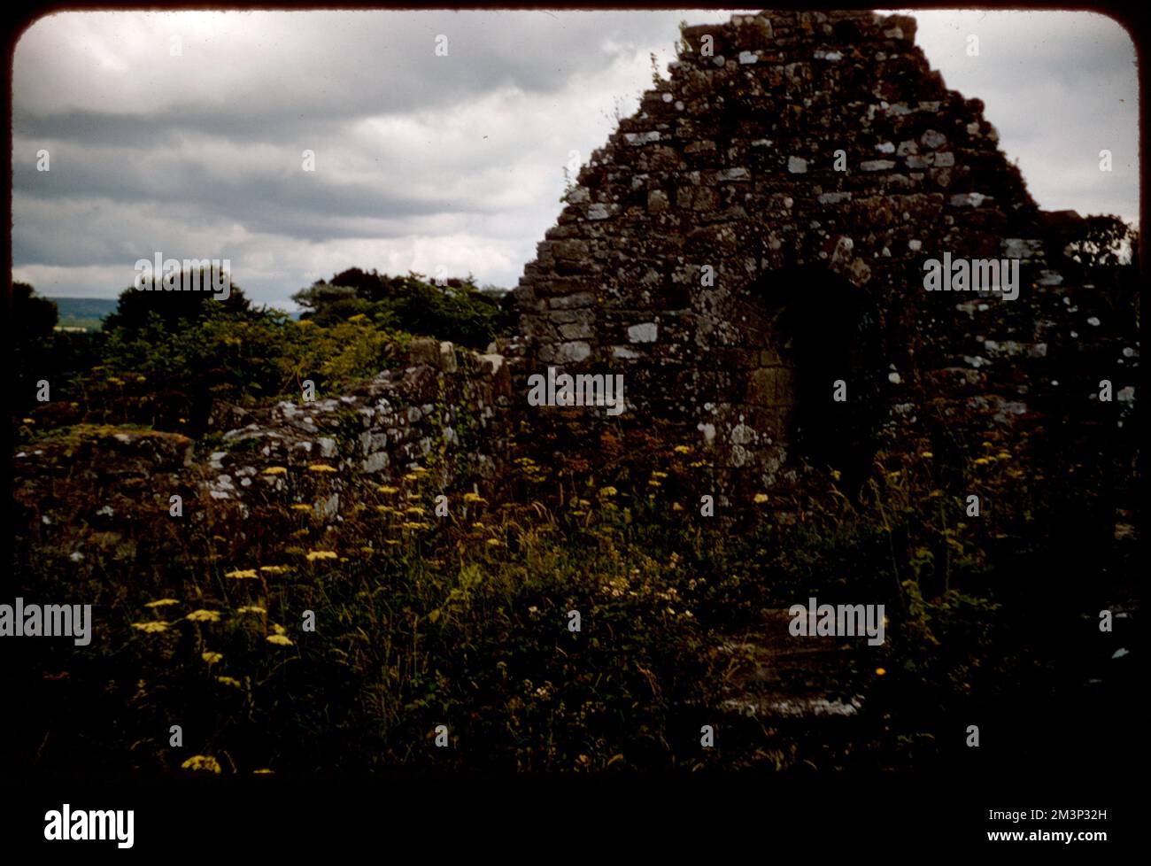 Rathass Church, Tralee, ruins , Churches, Archaeological sites. Edmund ...