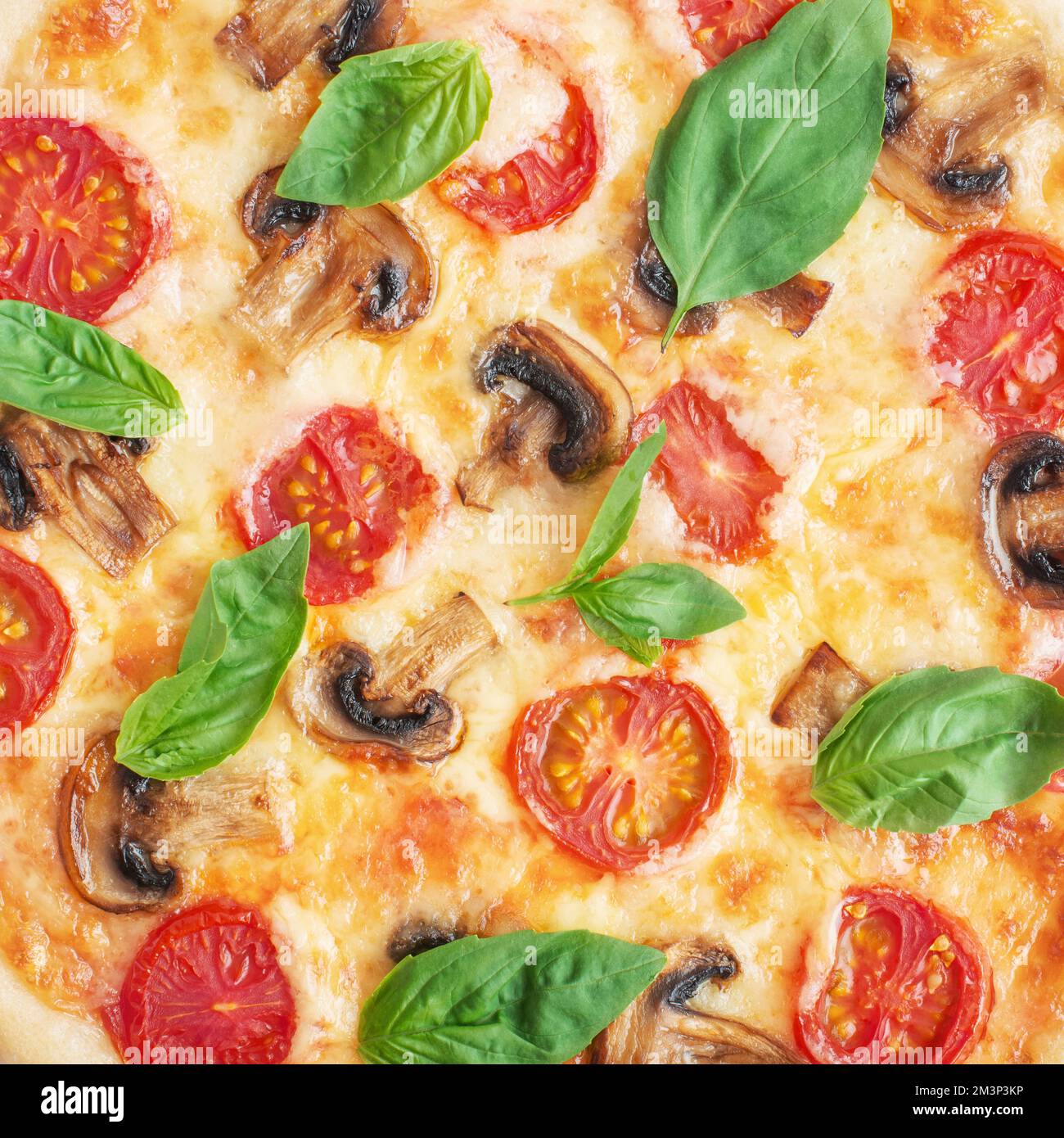 Pizza texture with tomatoes, mushrooms, basil and mozzarella Stock ...