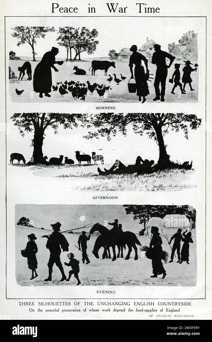 Wartime field activities hi-res stock photography and images - Alamy