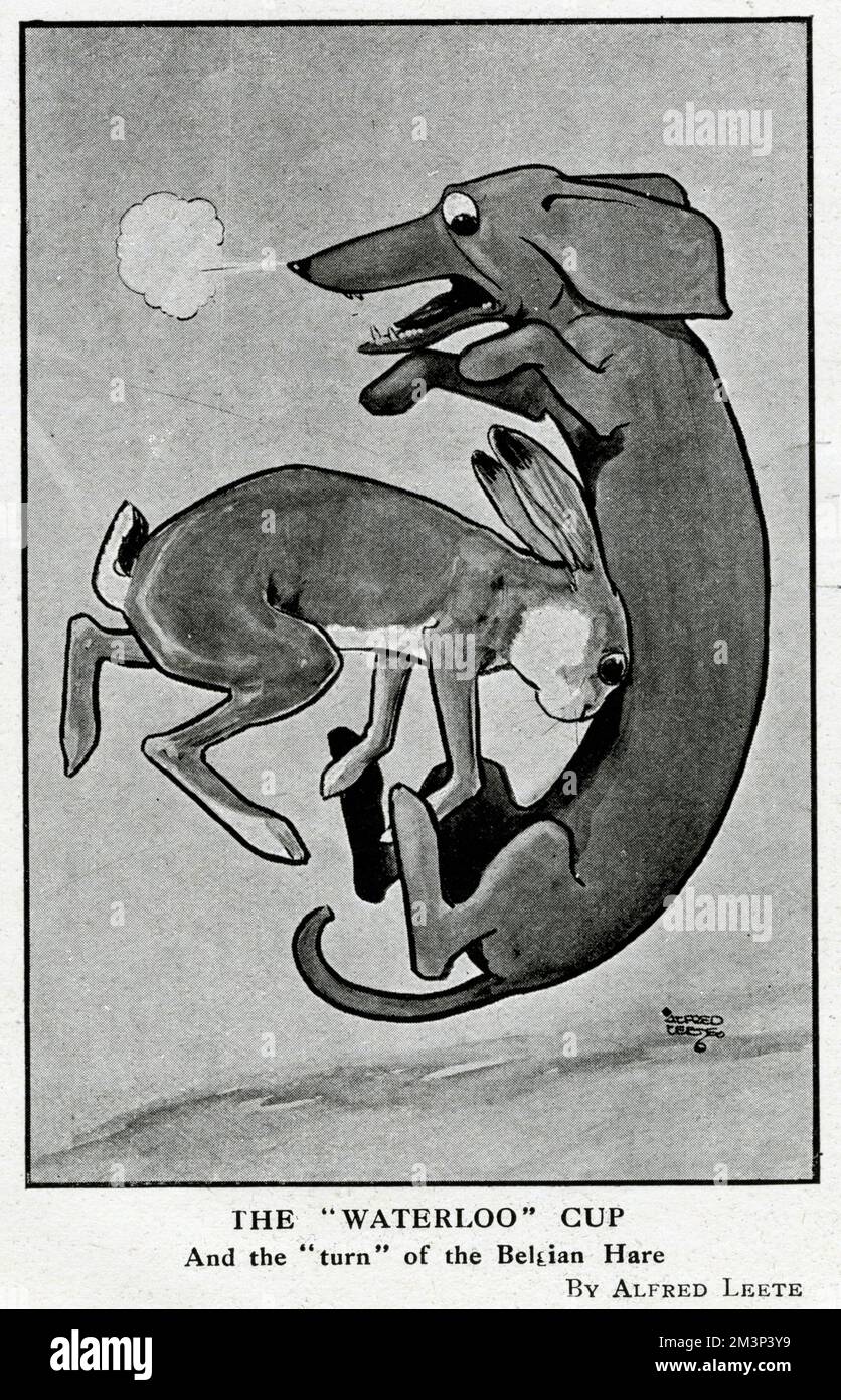 Cartoon, The Waterloo Cup, WW1 Stock Photo - Alamy