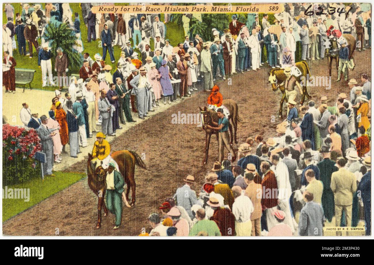 Ready for the race, Hialeah Park, Miami, Florida , Sports & recreation ...