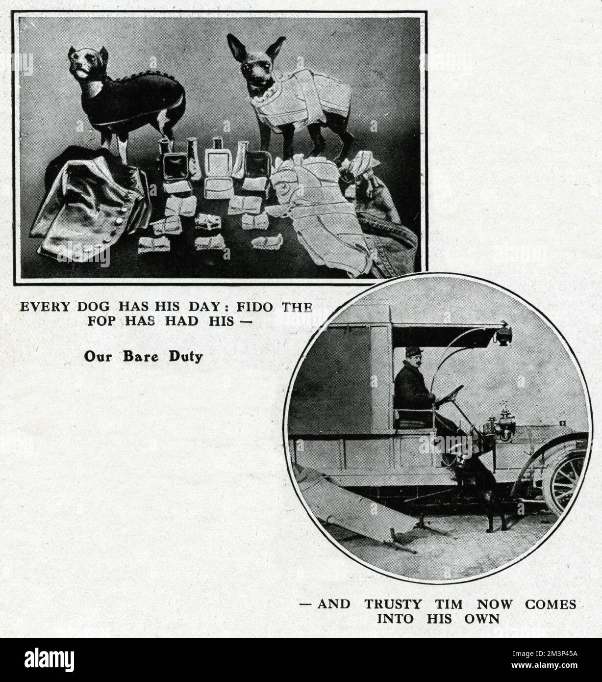 Dogs doing their wartime duty, WW1 Stock Photo - Alamy