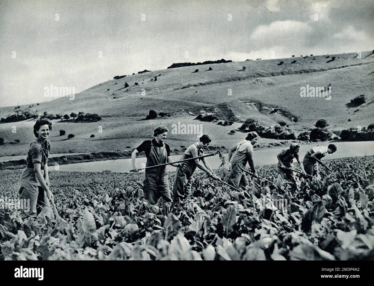 Land girls at work ww2 hi-res stock photography and images - Alamy