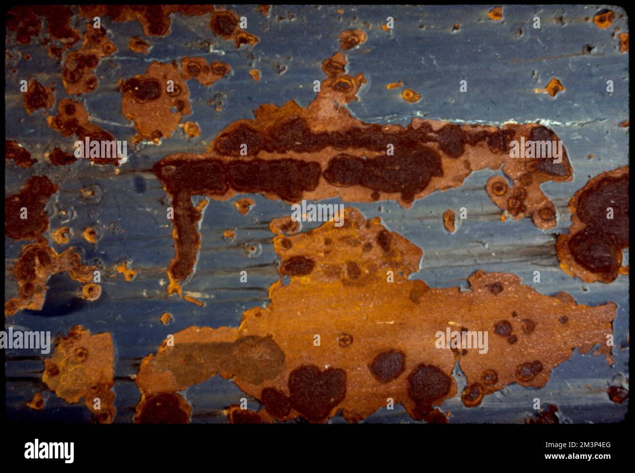 Rear of construction along Clinton Street , Markets, Building ...