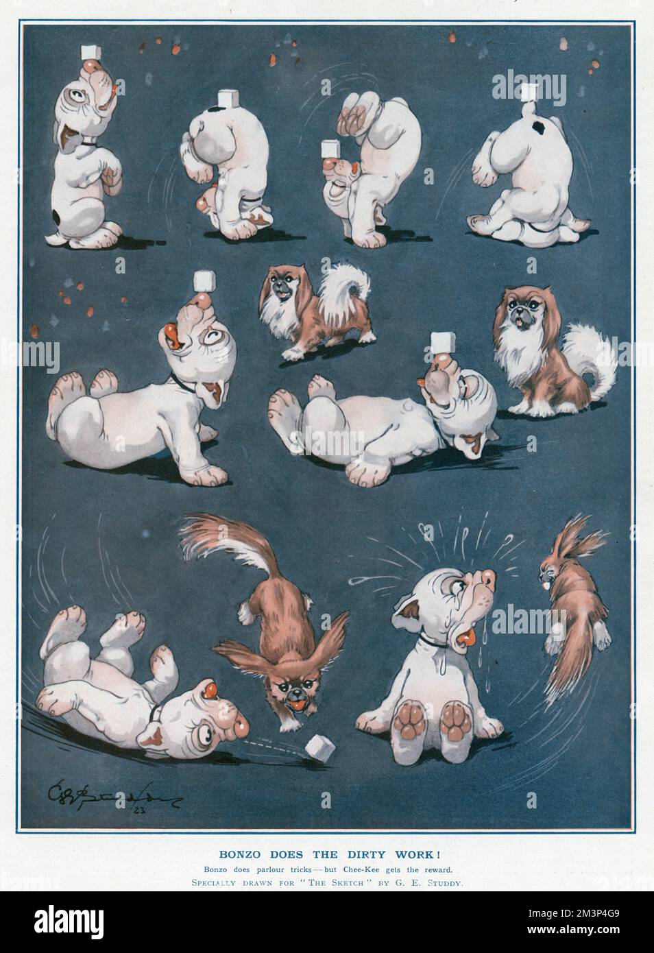 Who is that dirty dog hi-res stock photography and images - Alamy