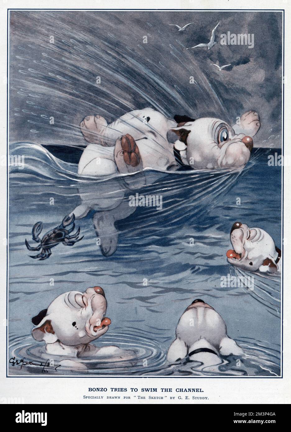 Bonzolines hi-res stock photography and images - Alamy