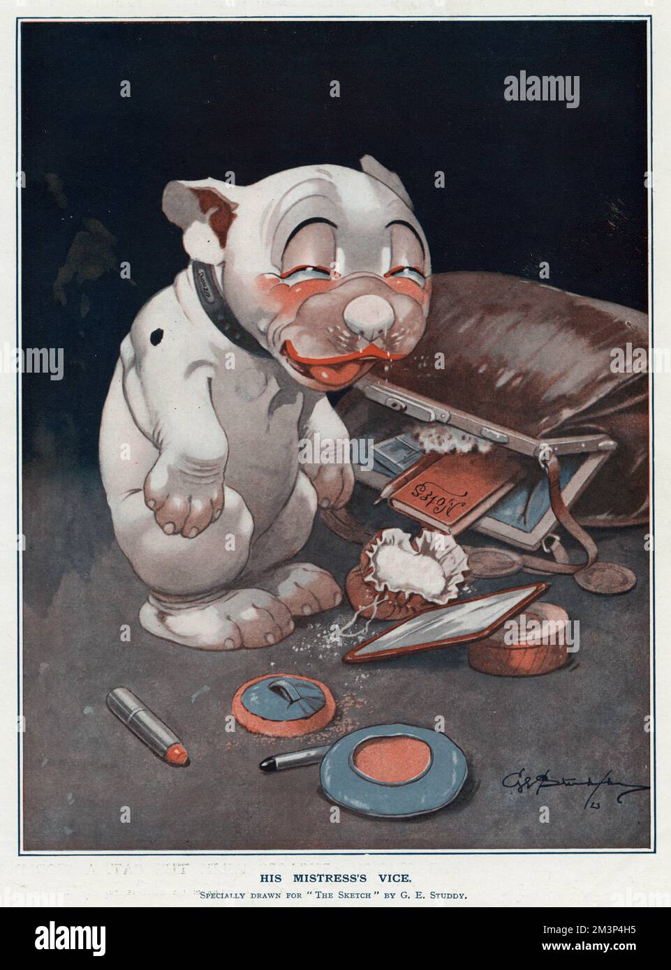 His mistress's vice -- Bonzo has fun with a mirror and cosmetics from ...