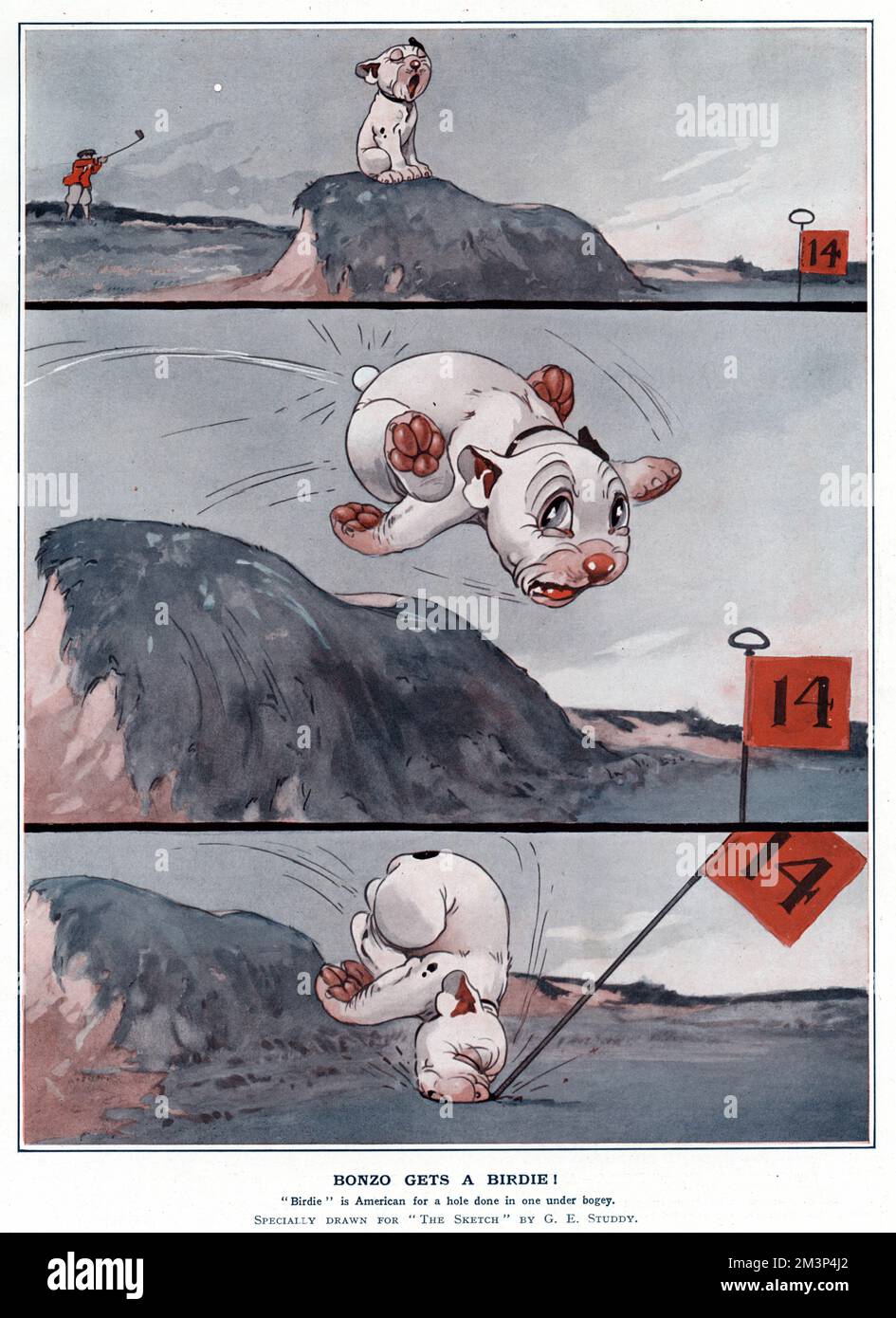 Stuck up nose Cut Out Stock Images & Pictures - Alamy