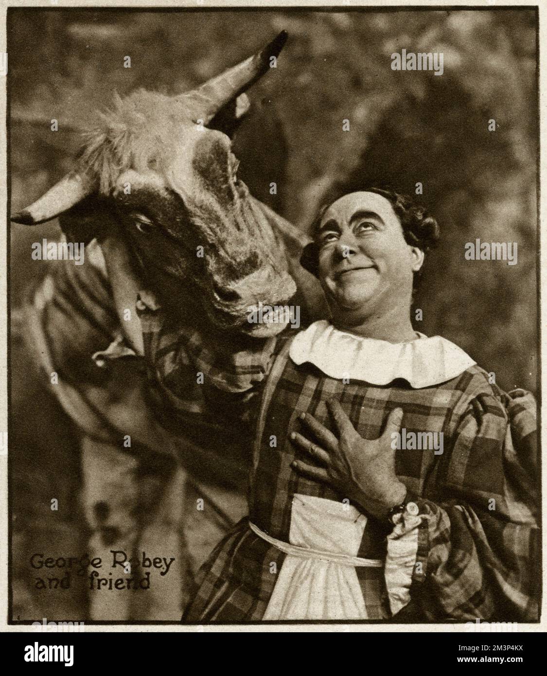 Pantomime cow hi-res stock photography and images - Alamy
