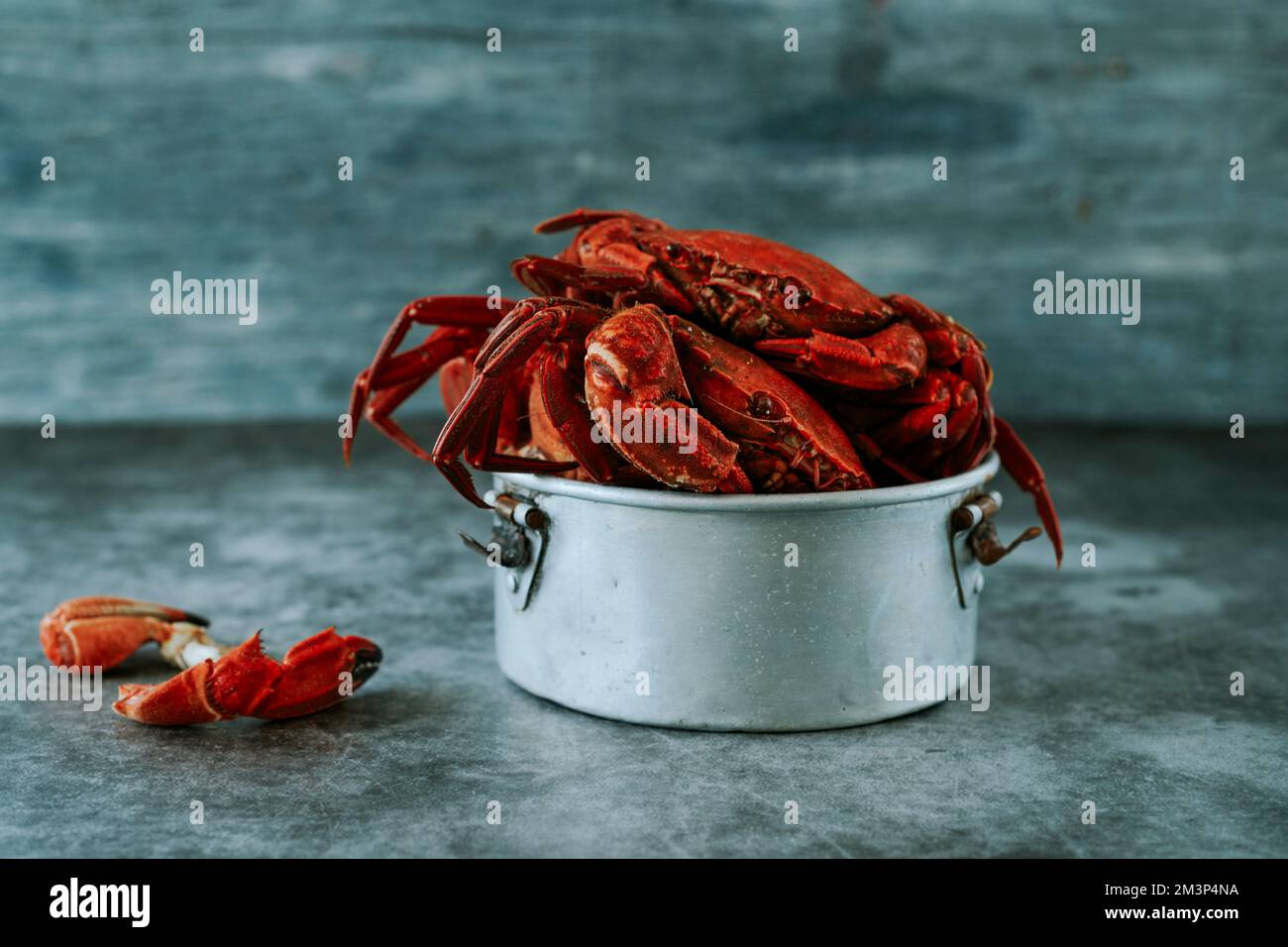closeup of some cooked velvet crabs in an old aluminum container, on a ...