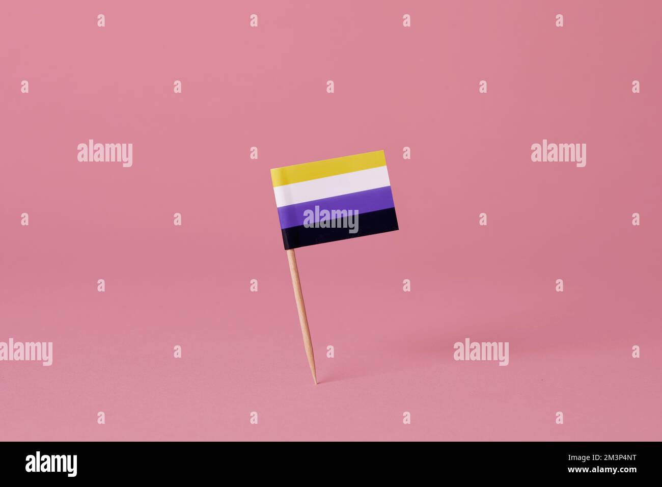 a non-binary pride flag attached to a wooden pole stands on a pink background Stock Photo - Alamy