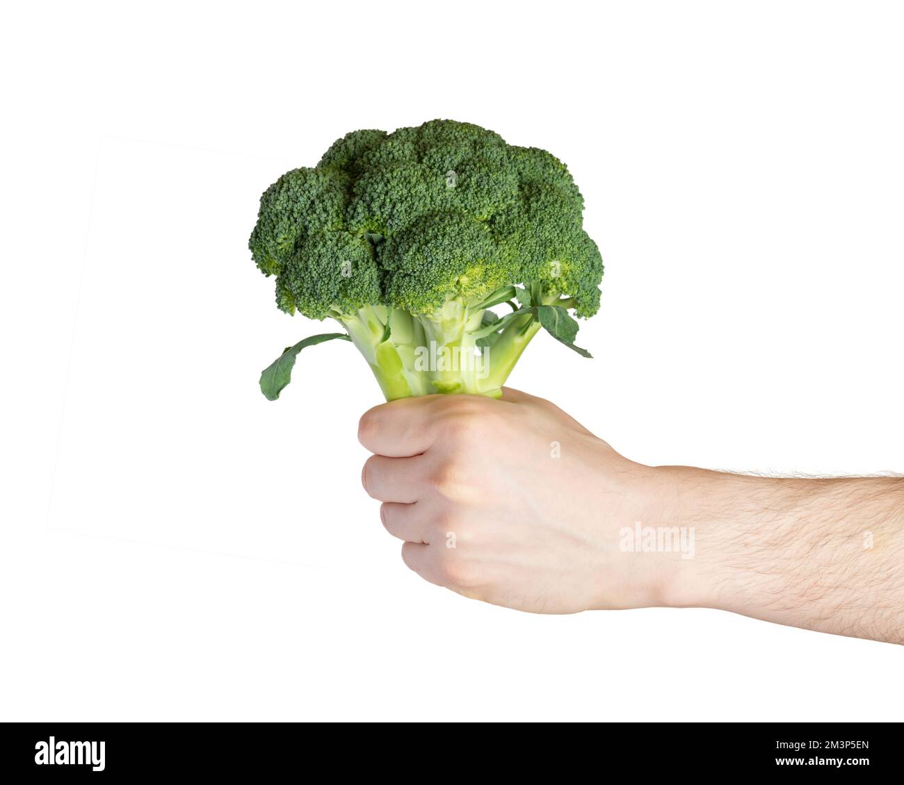 broccoli in male hand, isolate Stock Photo - Alamy