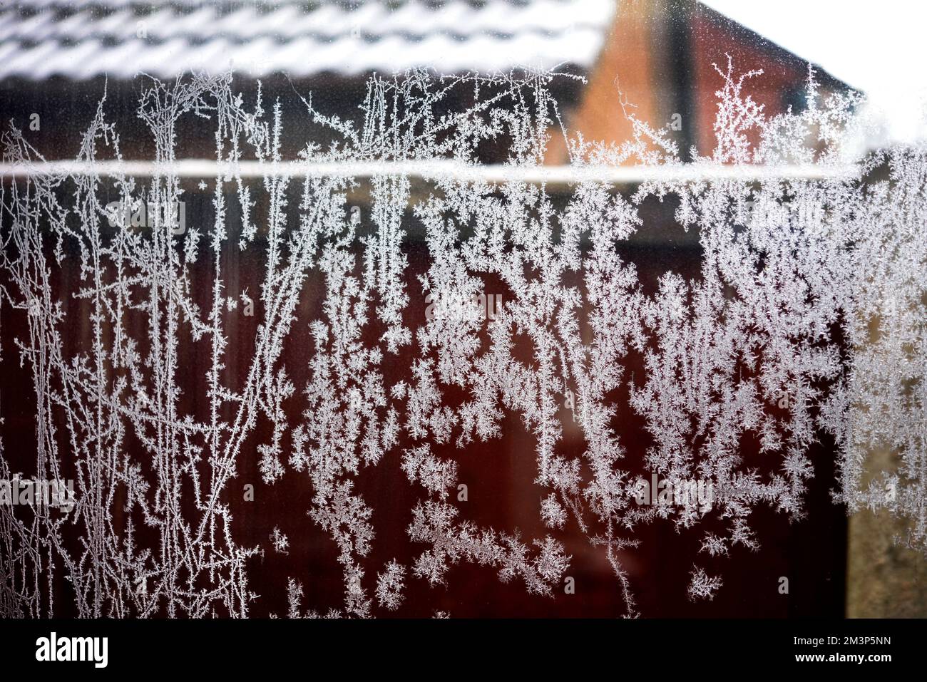 frost on window Stock Photo - Alamy