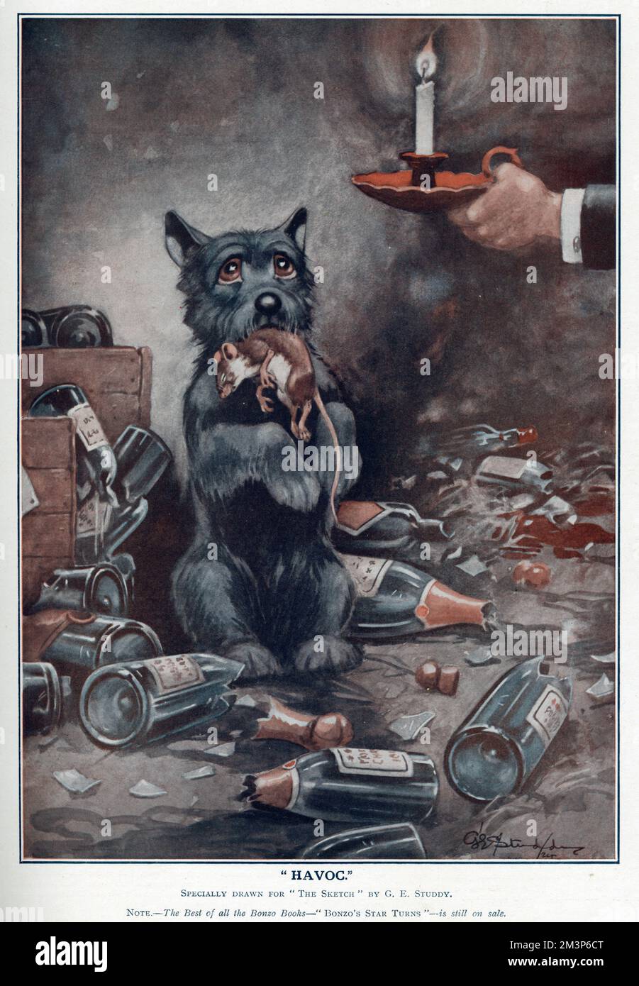 Havoc hi-res stock photography and images - Alamy