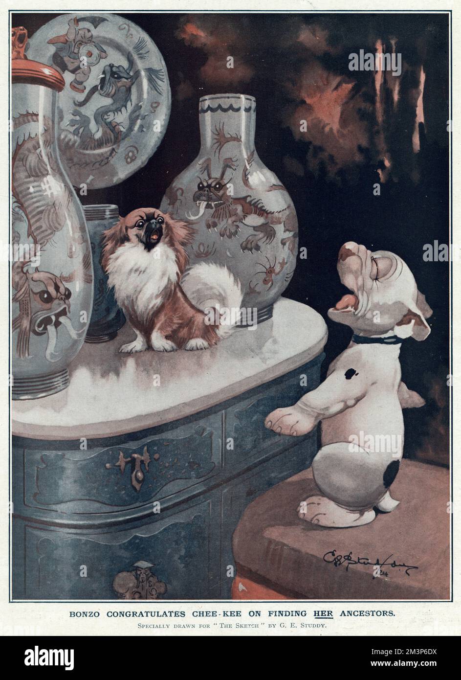 Dog congratulates hi-res stock photography and images - Alamy