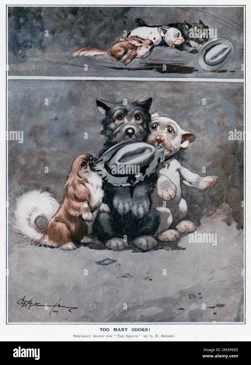 Too many cooks! by George Studdy Stock Photo - Alamy