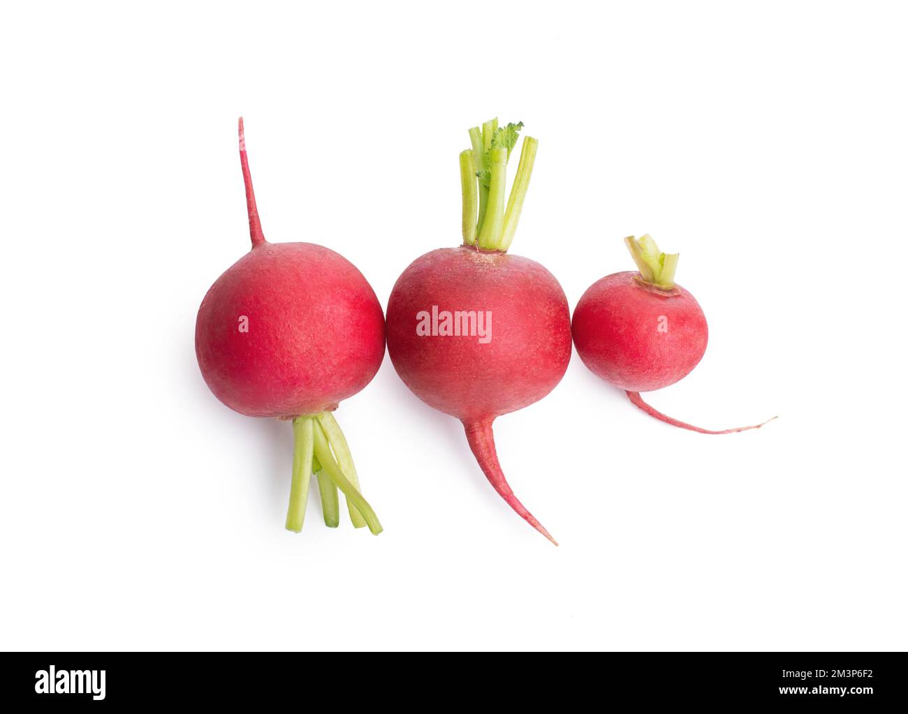 ripe red radish isolated on white background Stock Photo - Alamy