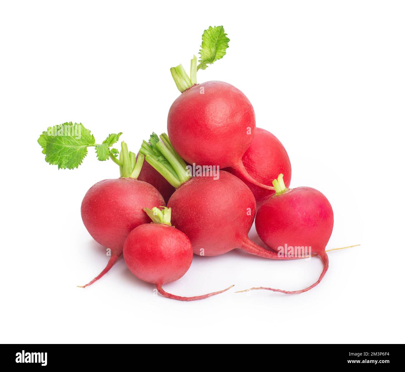 ripe red radish isolated on white background Stock Photo - Alamy
