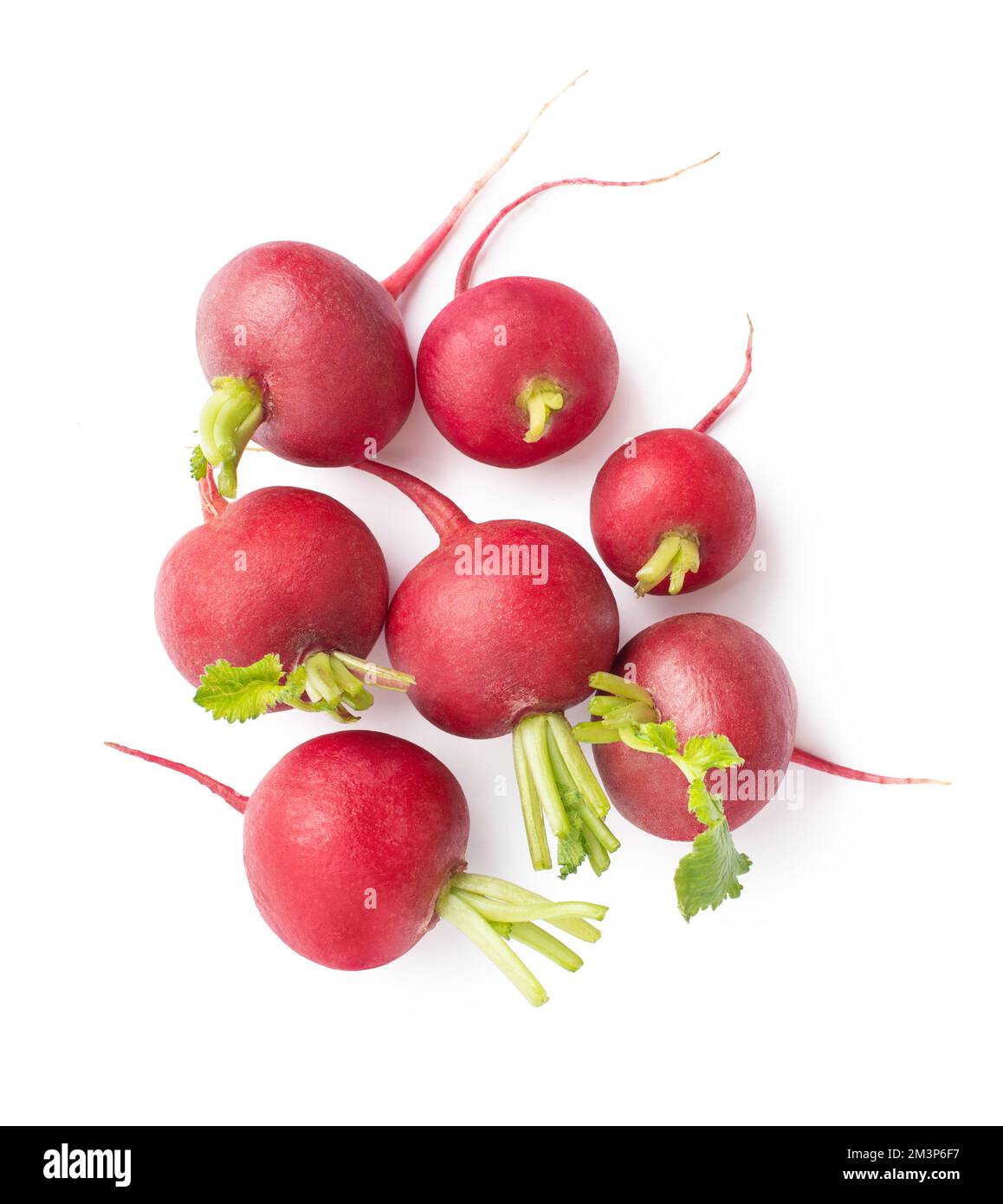 ripe red radish isolated on white background Stock Photo - Alamy
