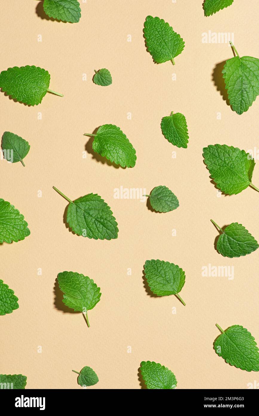 Mint Color Wallpaper